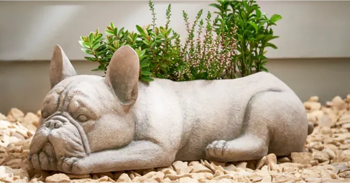 Frenchie Planter £20 @ Dunelm