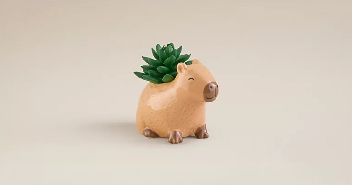 Artificial Succulent in Capybara Shaped Pot £4 @ Asda George